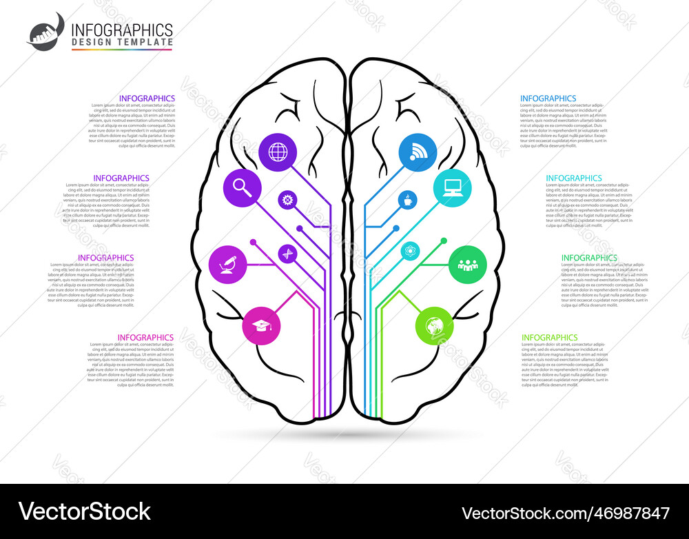 Brain infographic concept line style with icons Vector Image