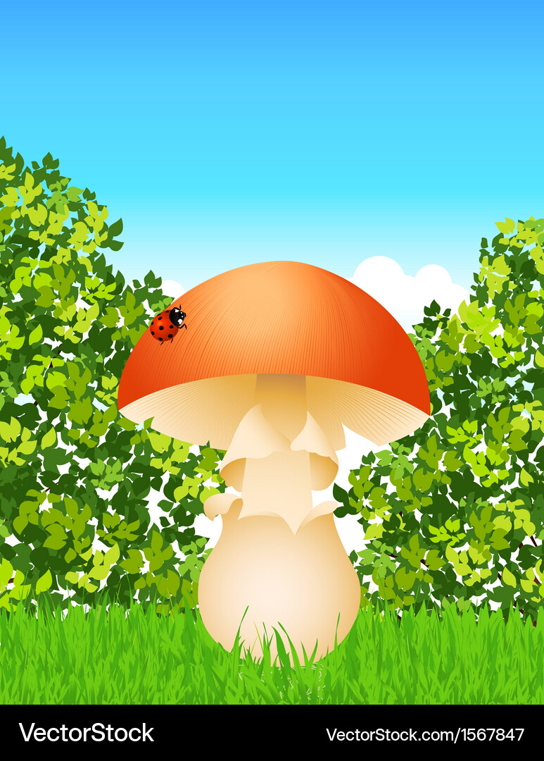 Mushroom in the forest Royalty Free Vector Image