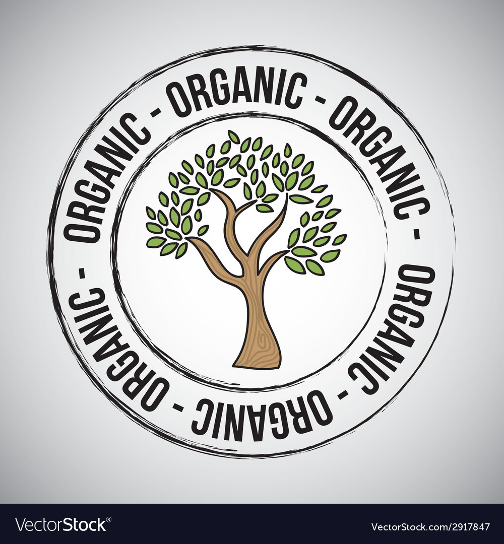 Tree Royalty Free Vector Image - VectorStock