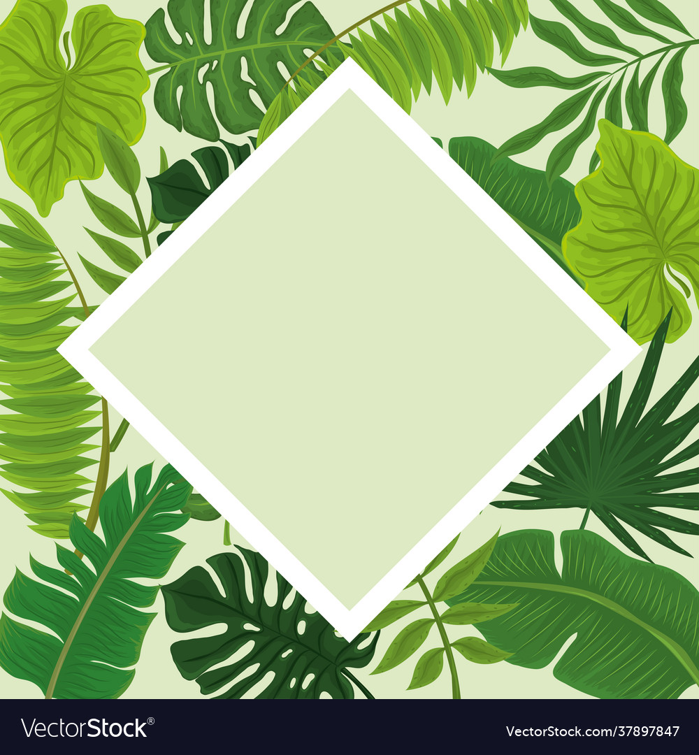 Tropical greenery label Royalty Free Vector Image