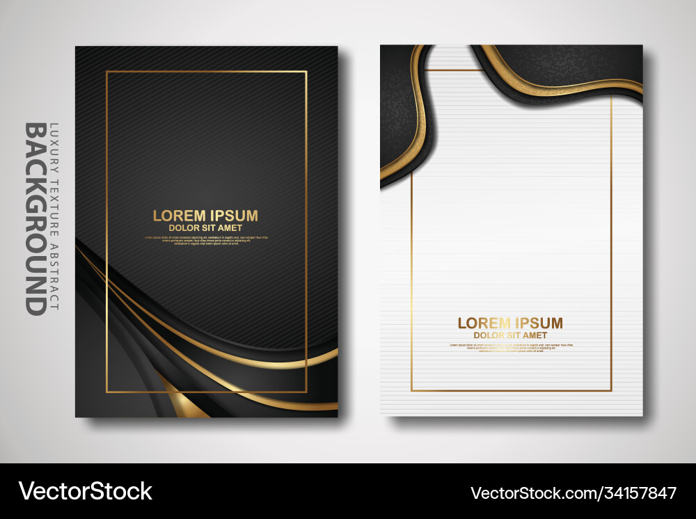 Two set cover design template with luxury and Vector Image