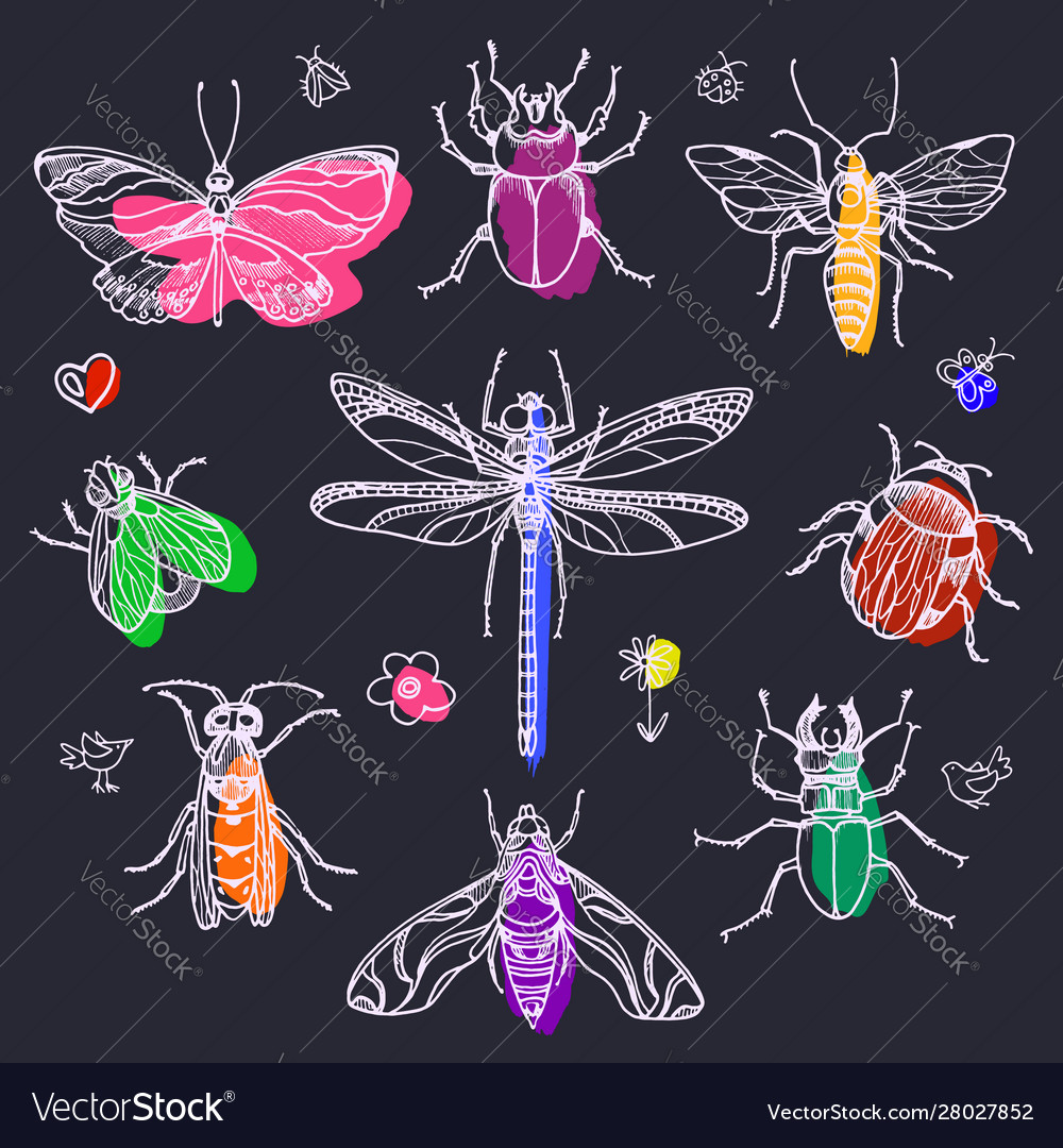 Insect set line color Royalty Free Vector Image