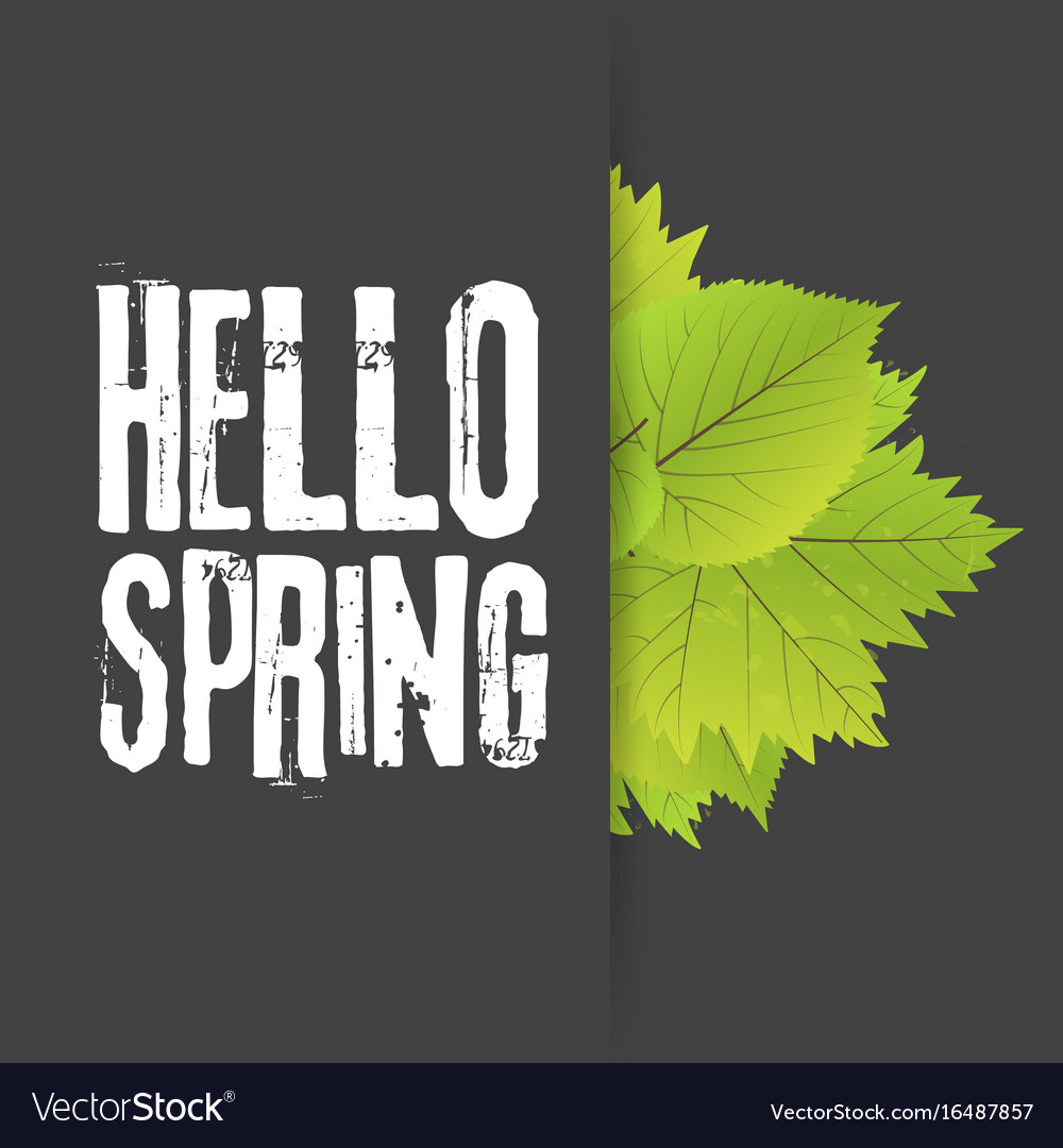 Hello spring lettering with hand drawn letters Vector Image