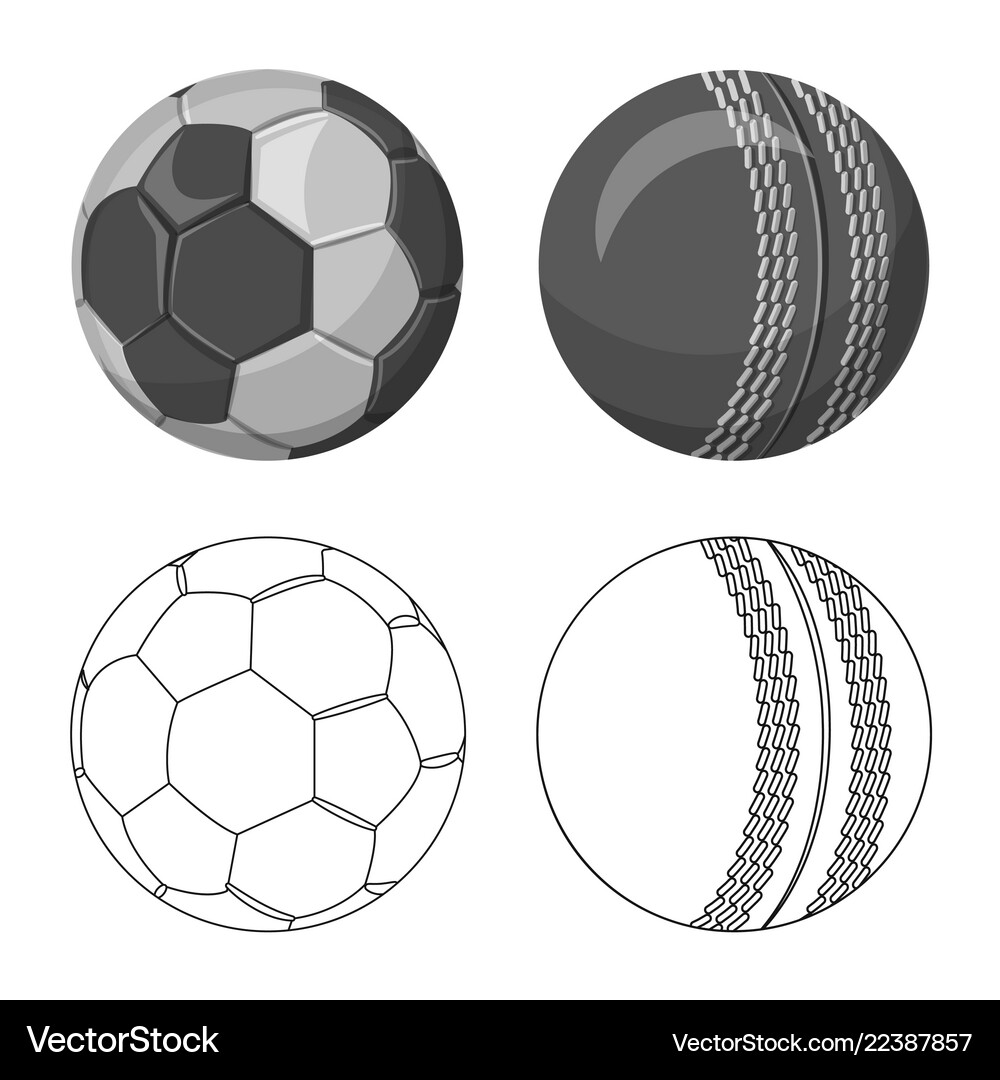 Sport and ball icon Royalty Free Vector Image - VectorStock