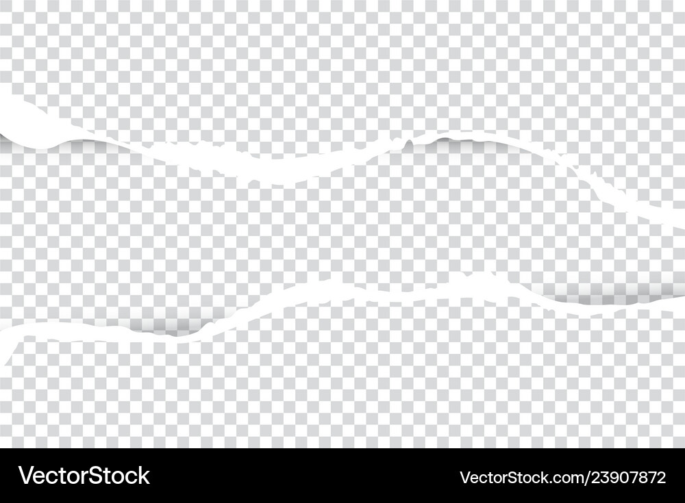 Ripped paper on transparent background Royalty Free Vector