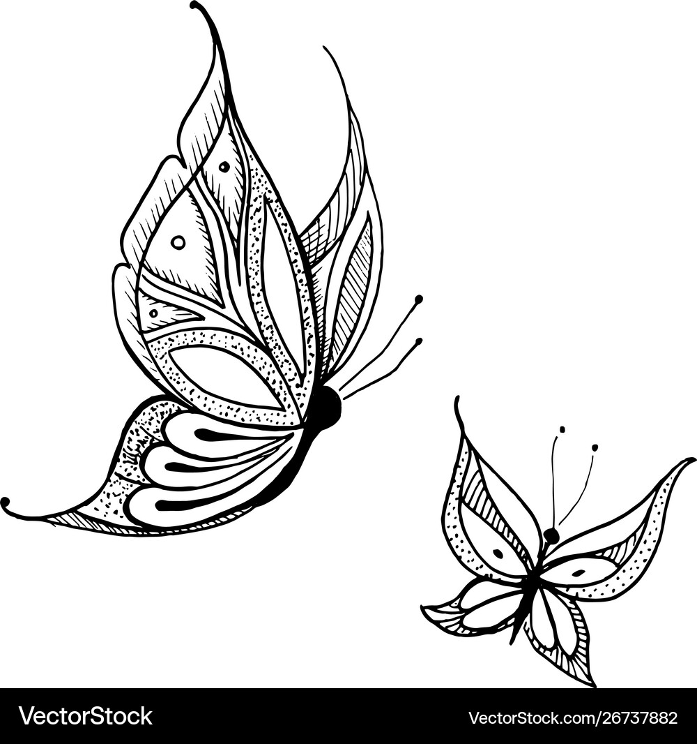 Butterflies hand drawn two isolated Royalty Free Vector