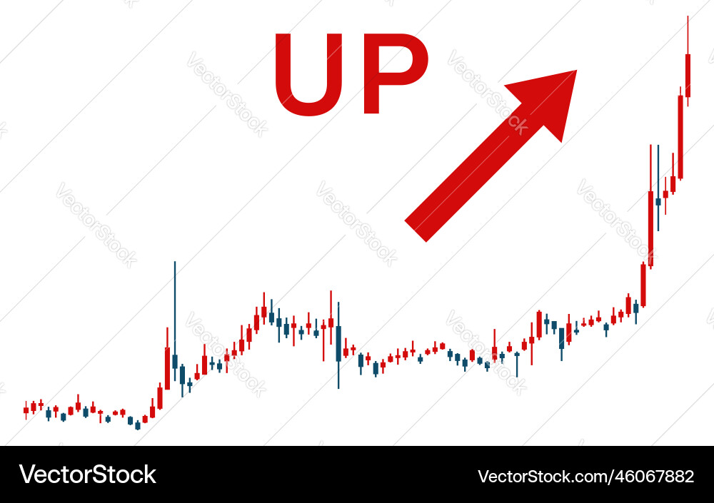 Candlestick charts used for stocks forex and Vector Image