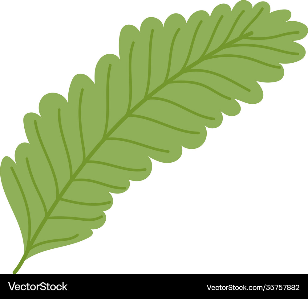 Leaf nature cartoon icon in isolated style Vector Image