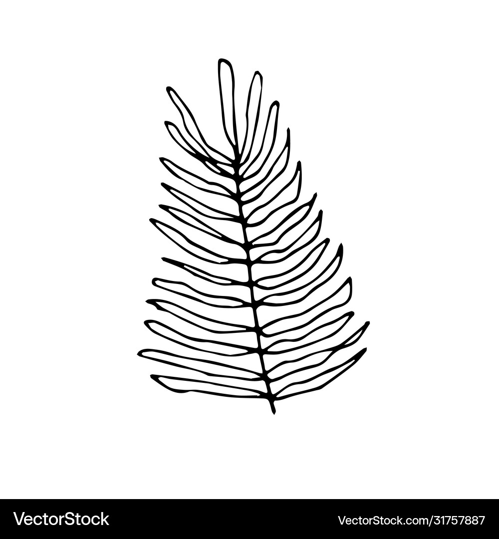 Black leaves and twigs Royalty Free Vector Image