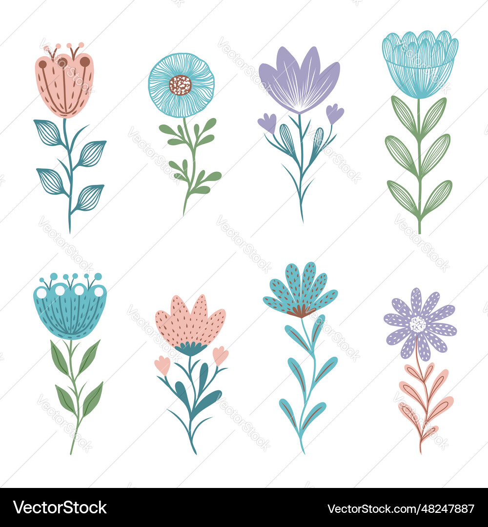 Collection of flowers Royalty Free Vector Image