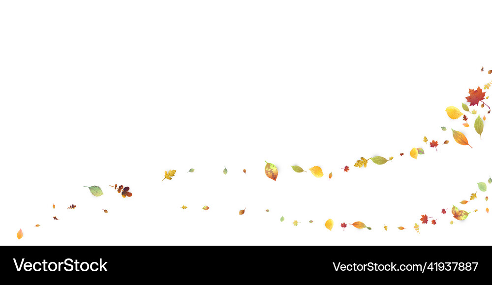 Leaves falling autumn foliage chaotic leaf flying Vector Image