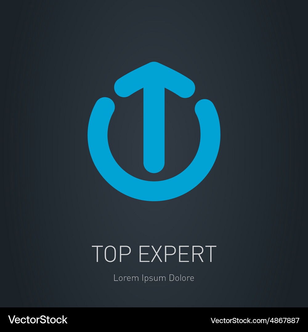 Logo template for the top experts in field Vector Image