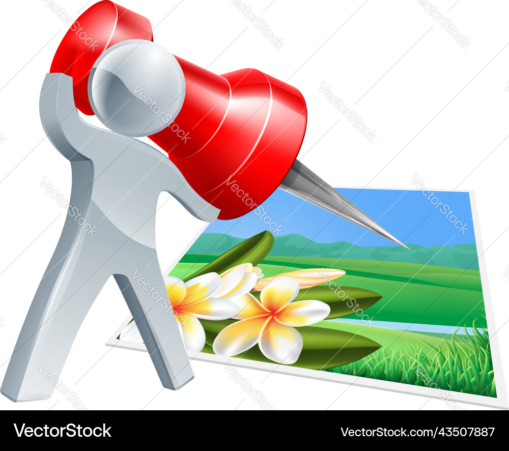 Person pinning photo Royalty Free Vector Image