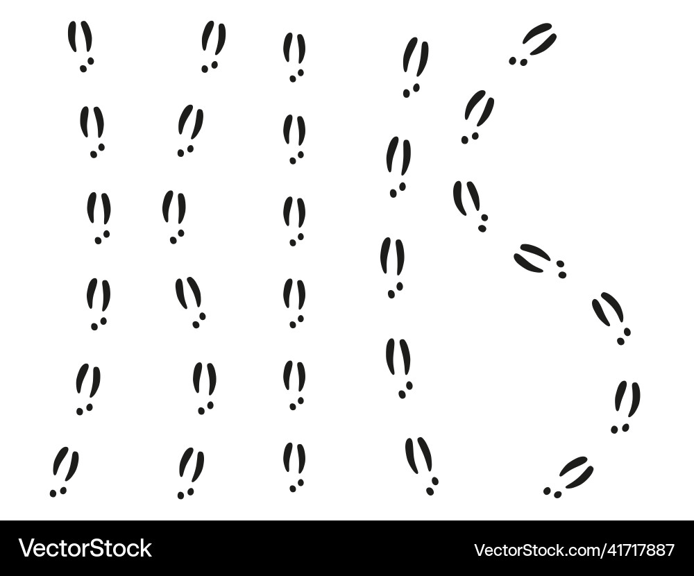 Rabbit or hare feet tracks animals paws Royalty Free Vector