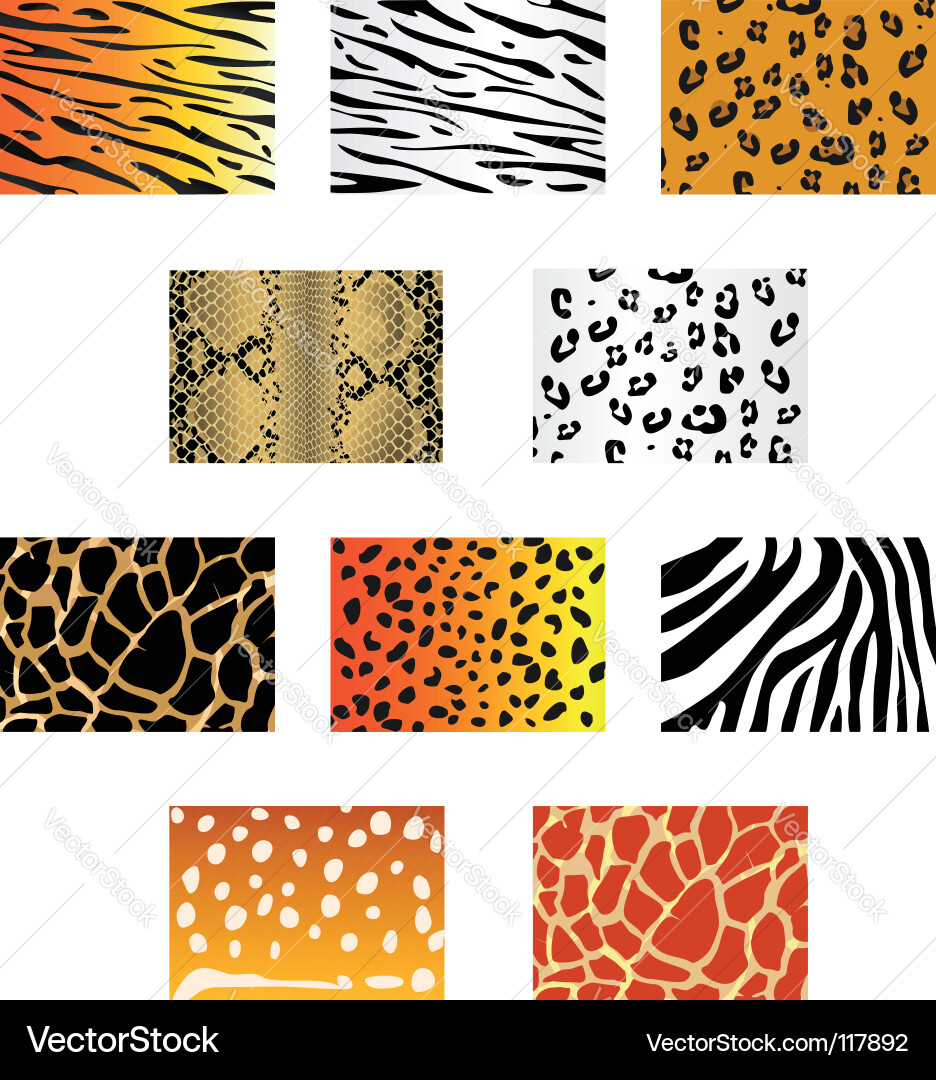 Animal fur and skin Royalty Free Vector Image - VectorStock