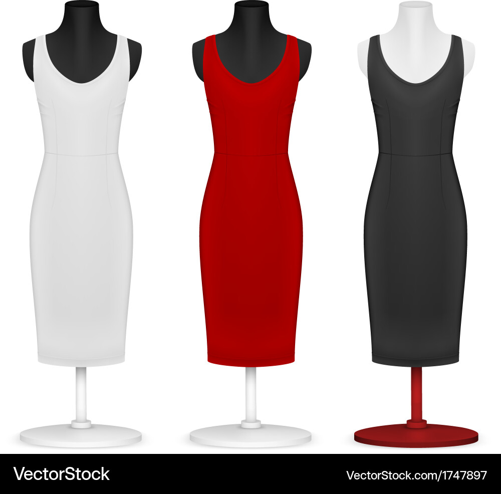 Classic women plain dress template Royalty Free Vector Image