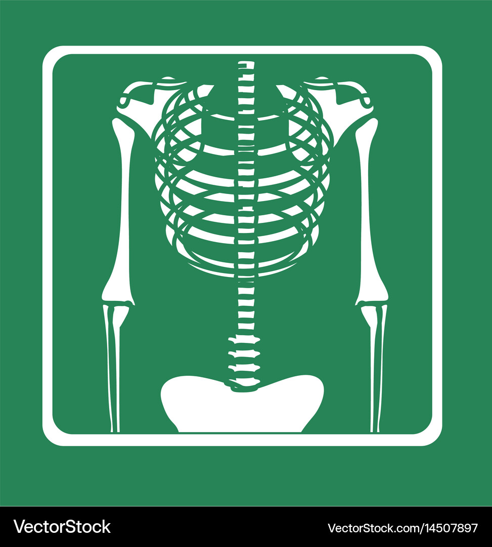 Color square frame with chest radiography Vector Image