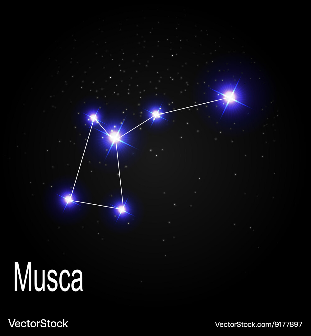 Musca Constellation with Beautiful Bright Stars on