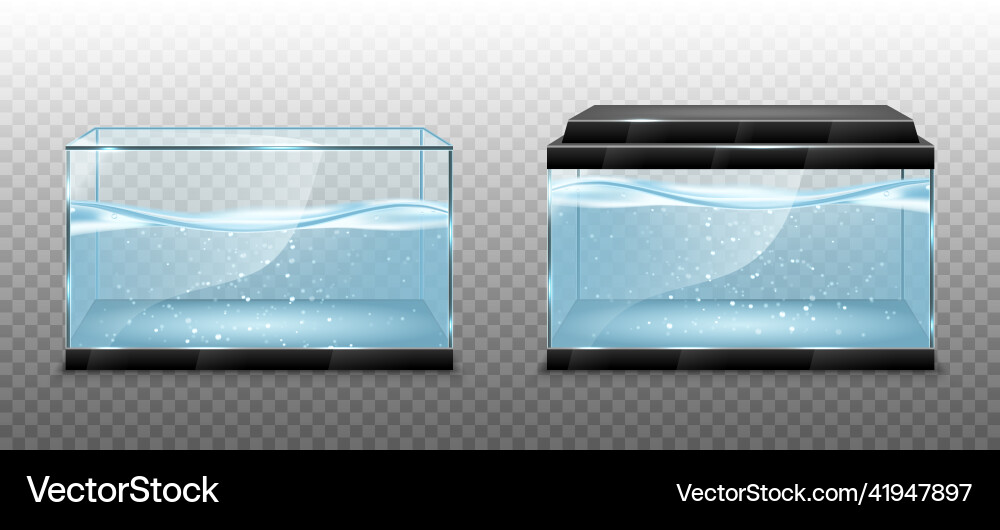 Realistic transparent aquarium with water inside Vector Image