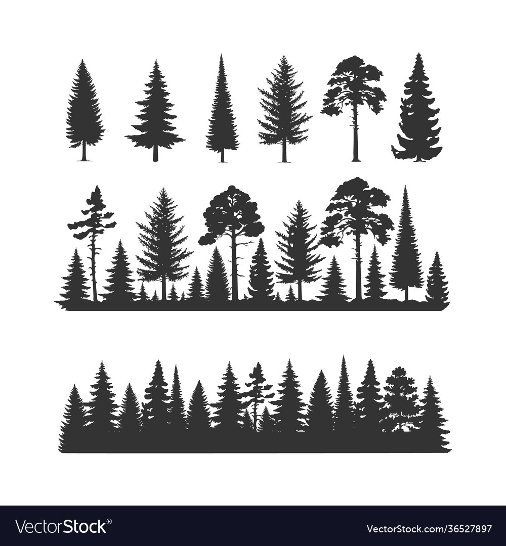 Set coniferous trees Royalty Free Vector Image