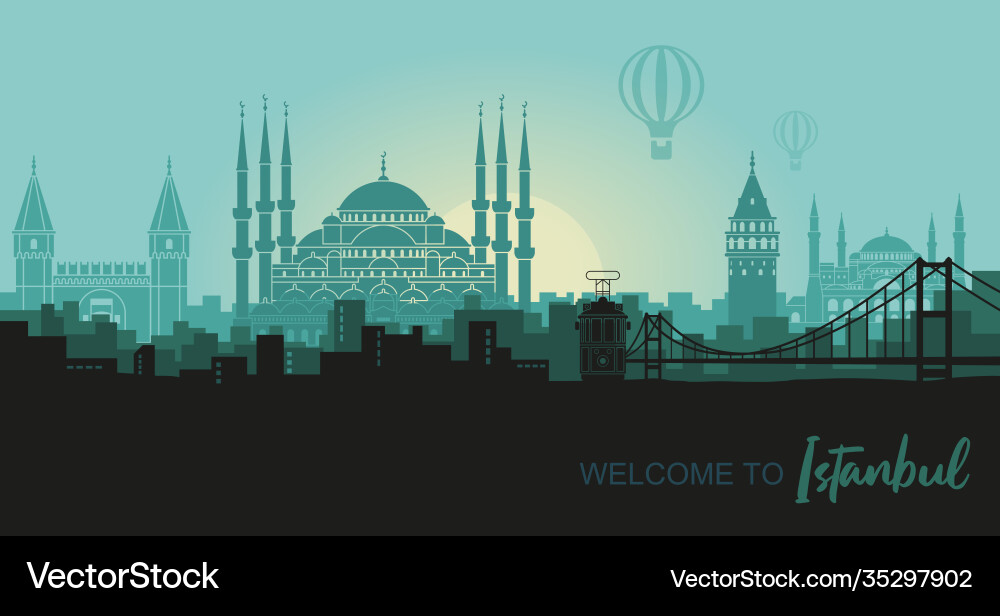 Landscape turkish city istanbul Royalty Free Vector Image