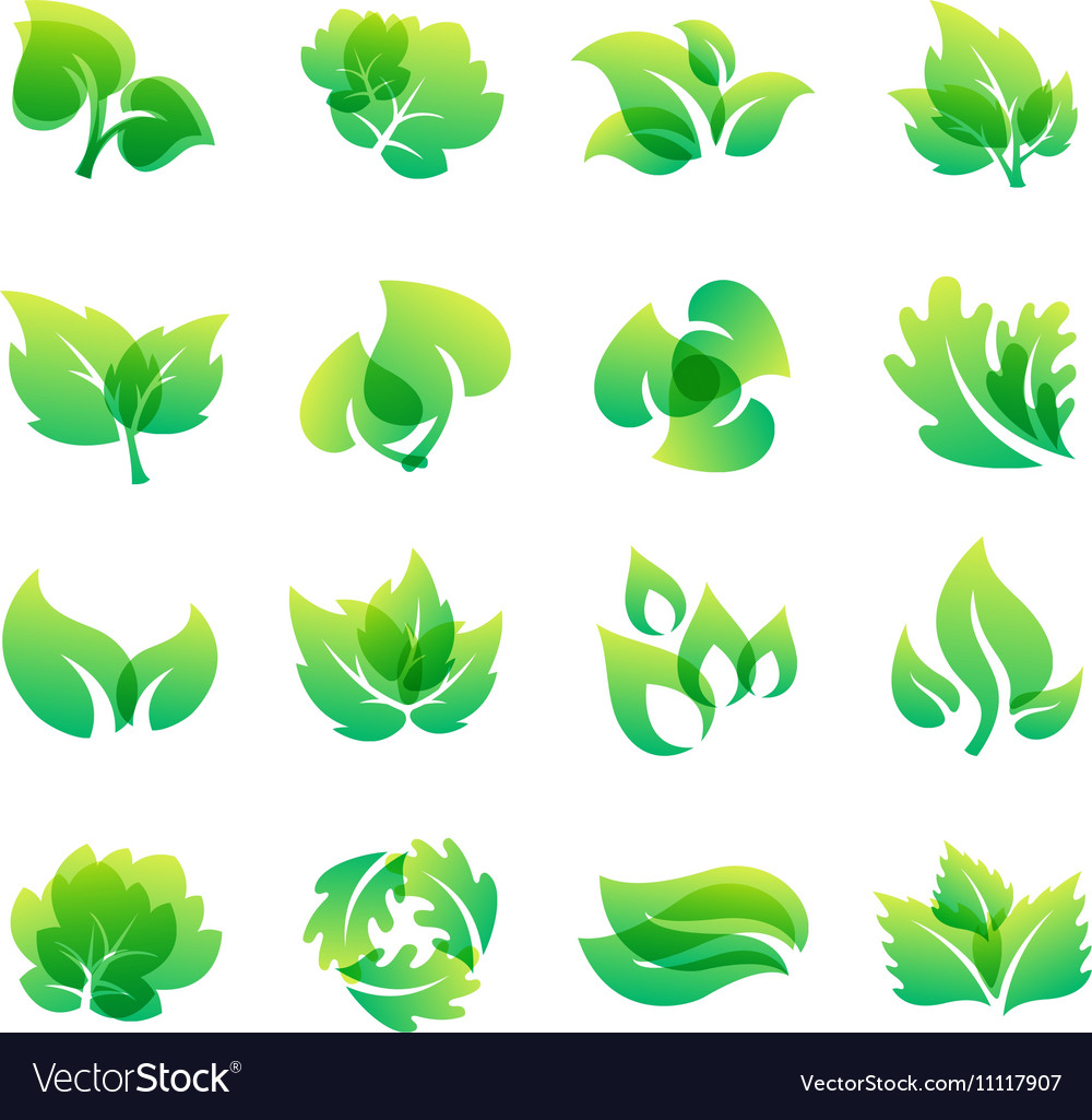 Leaf icon Royalty Free Vector Image - VectorStock