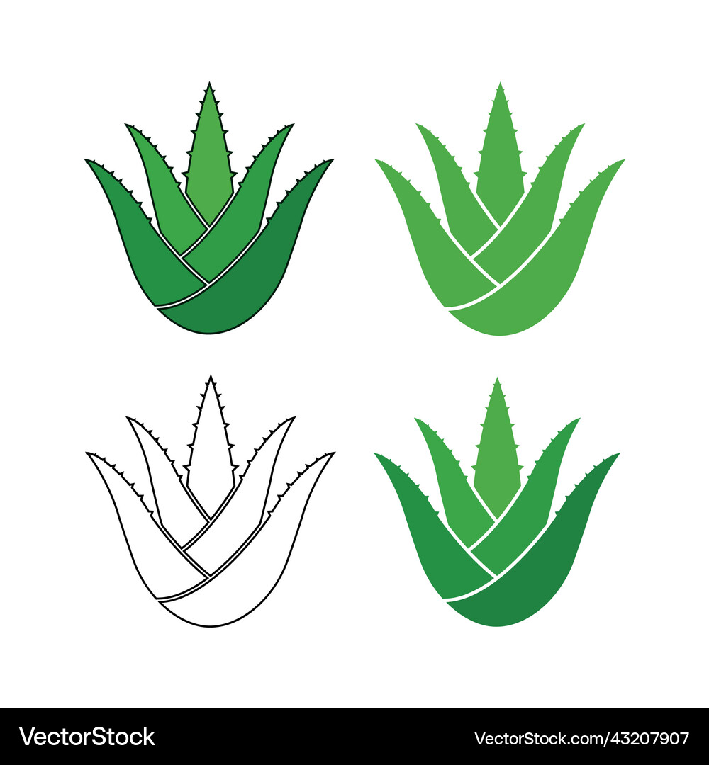 Set of aloe vera Royalty Free Vector Image - VectorStock