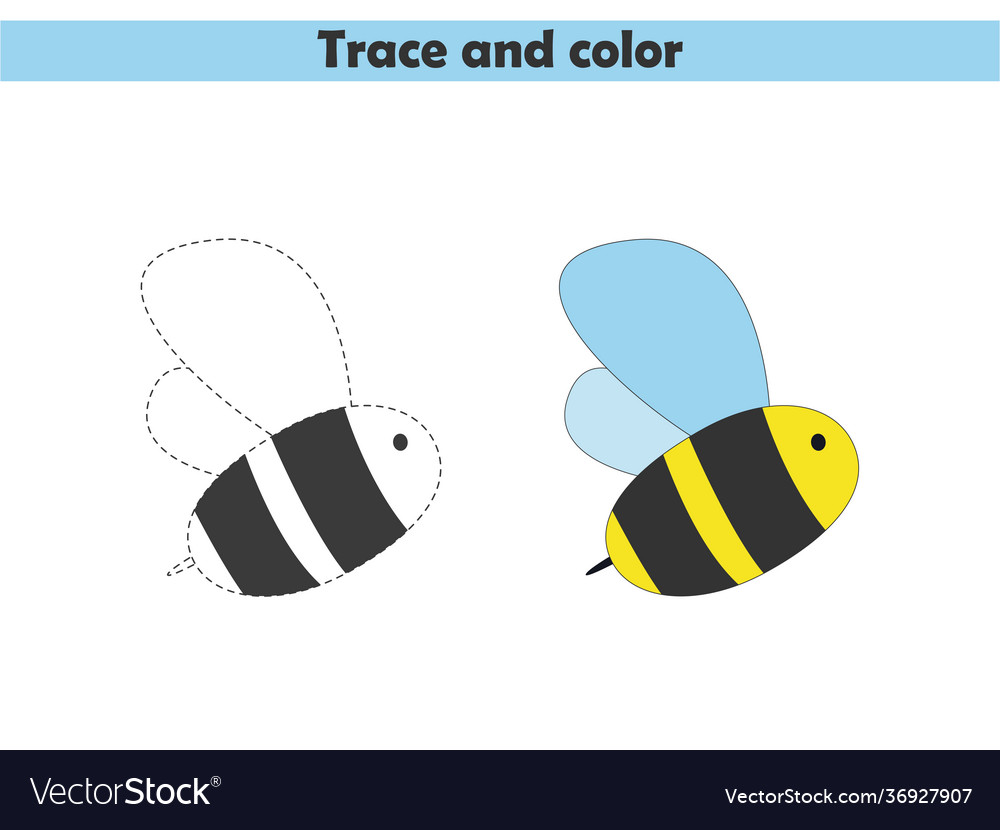 Trace and color cute bee learning to draw Vector Image