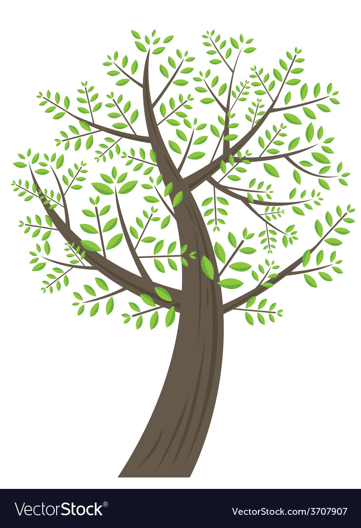 Tree curve Royalty Free Vector Image - VectorStock
