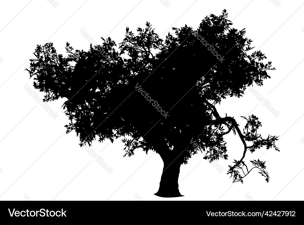 Silhouette of tree with leaves Royalty Free Vector Image