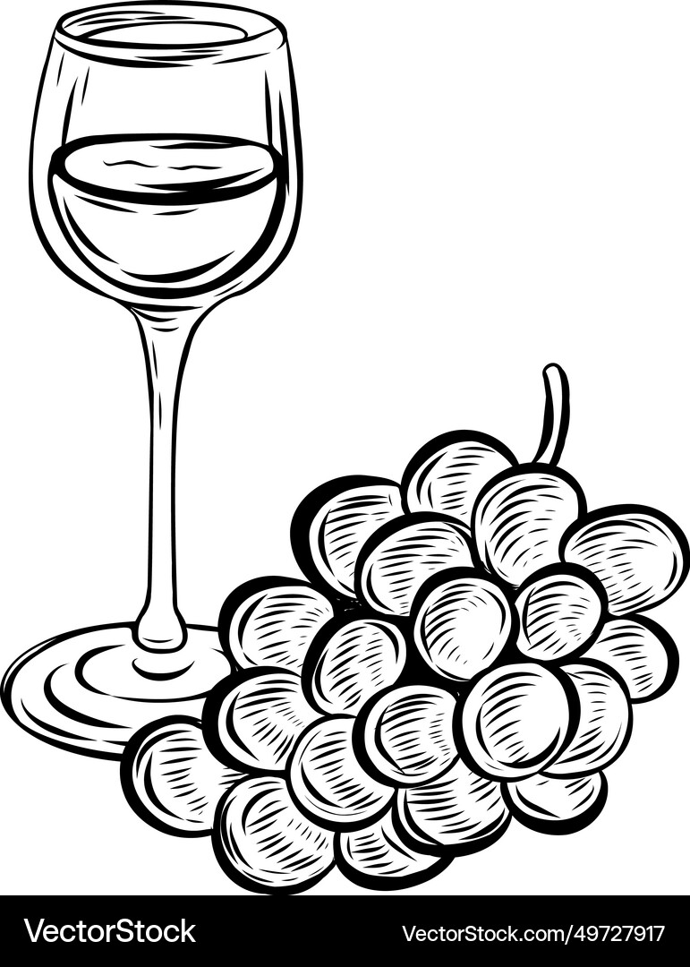 Glass of grape wine line drawing Royalty Free Vector Image