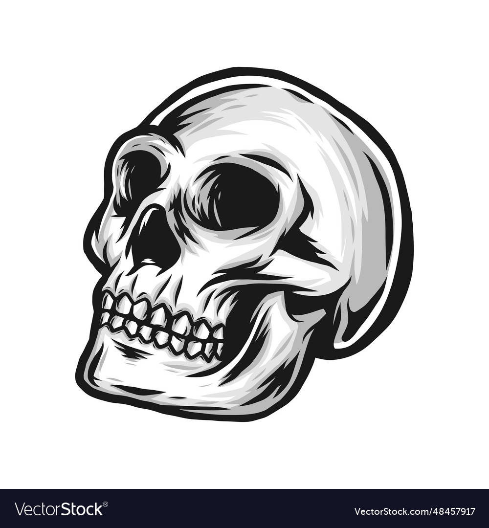 Skull Royalty Free Vector Image - VectorStock