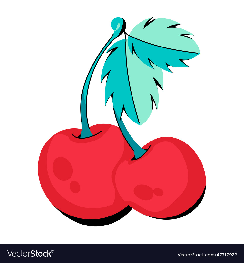 Cherry fruit Royalty Free Vector Image - VectorStock