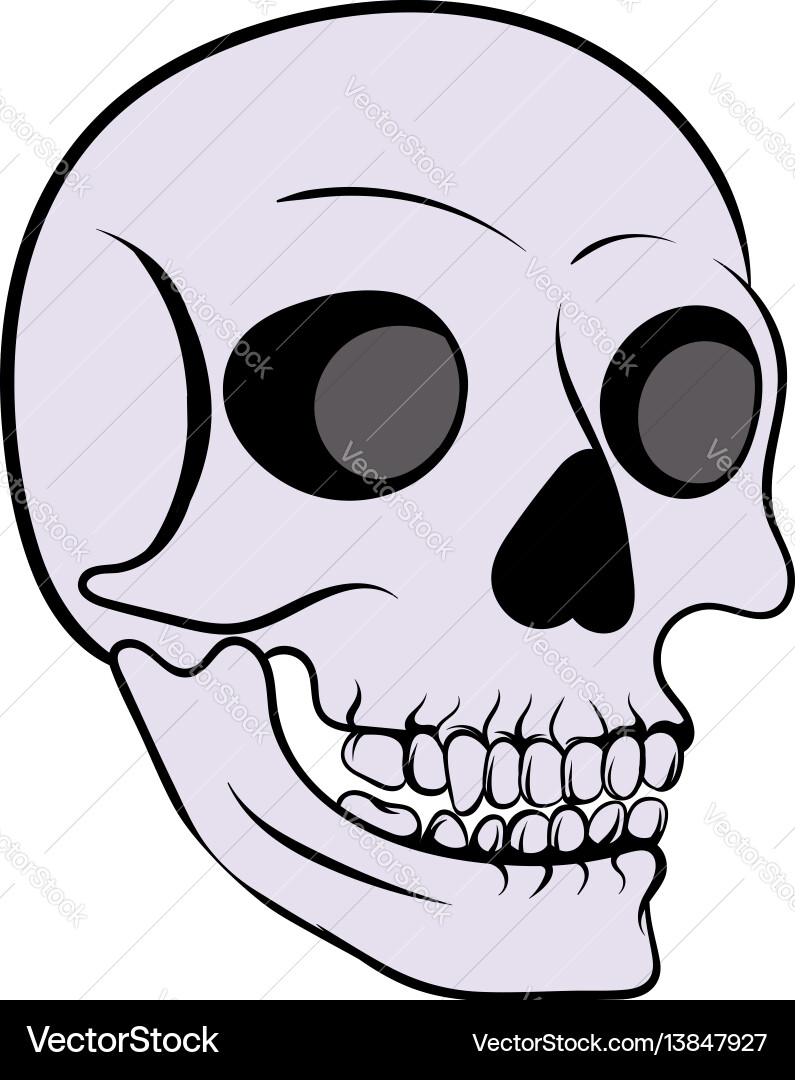 Human skull icon icon cartoon Royalty Free Vector Image
