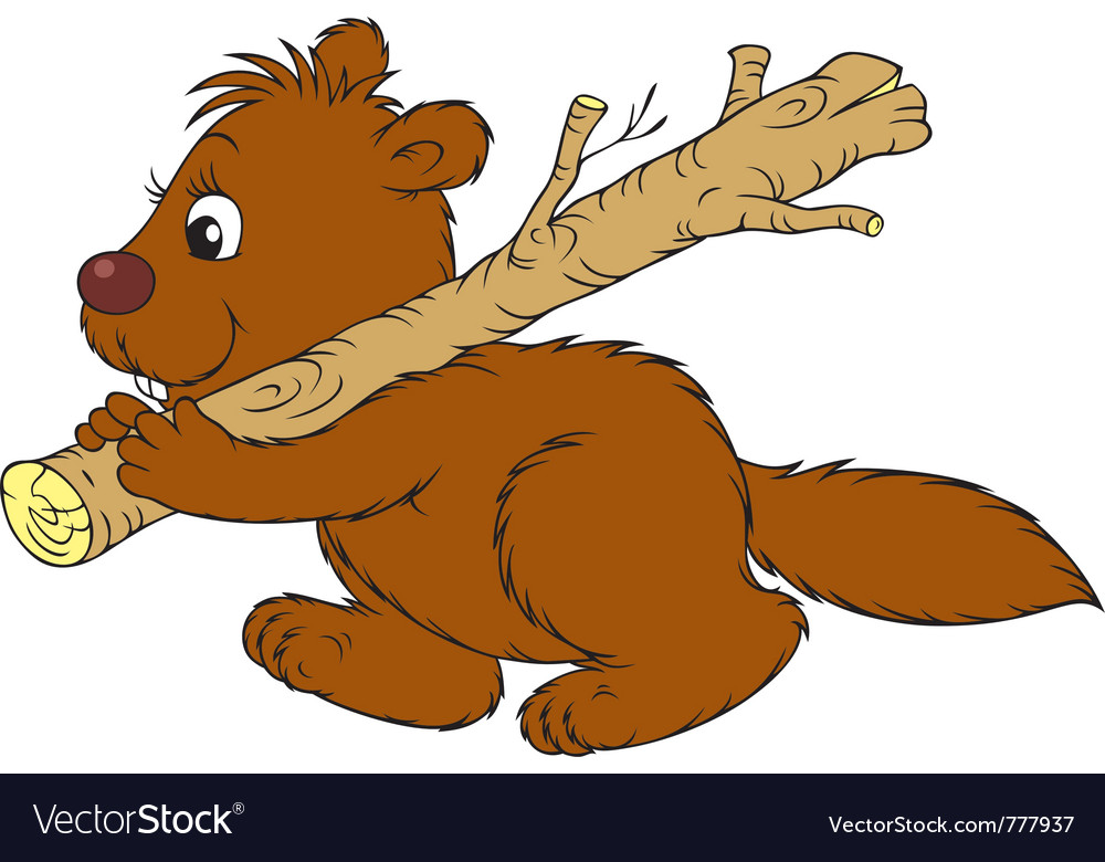 Beaver Royalty Free Vector Image - VectorStock