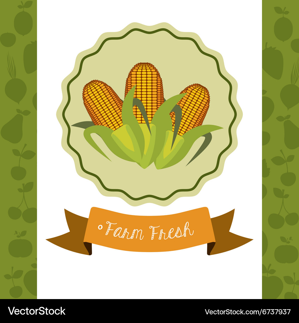 Farm fresh food design Royalty Free Vector Image
