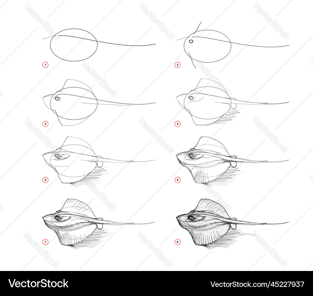 Page shows how to learn to draw sketch Royalty Free Vector