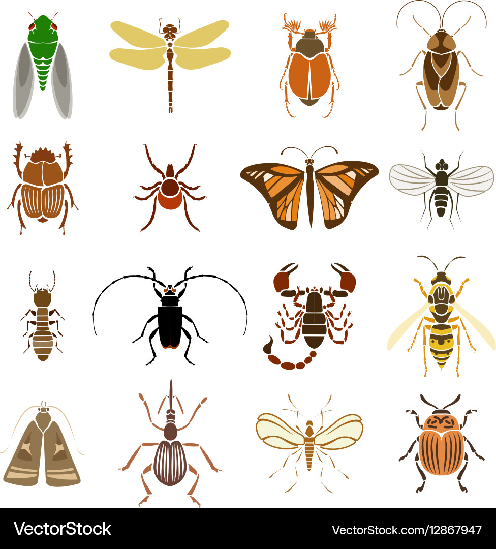 Colorful Insects Icons Collection Royalty Free Vector Image