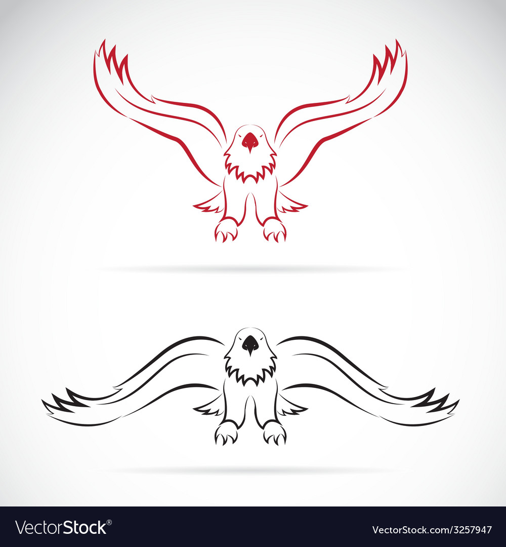 Eagles Royalty Free Vector Image - VectorStock