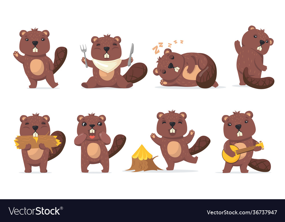 Funny beaver set Royalty Free Vector Image - VectorStock