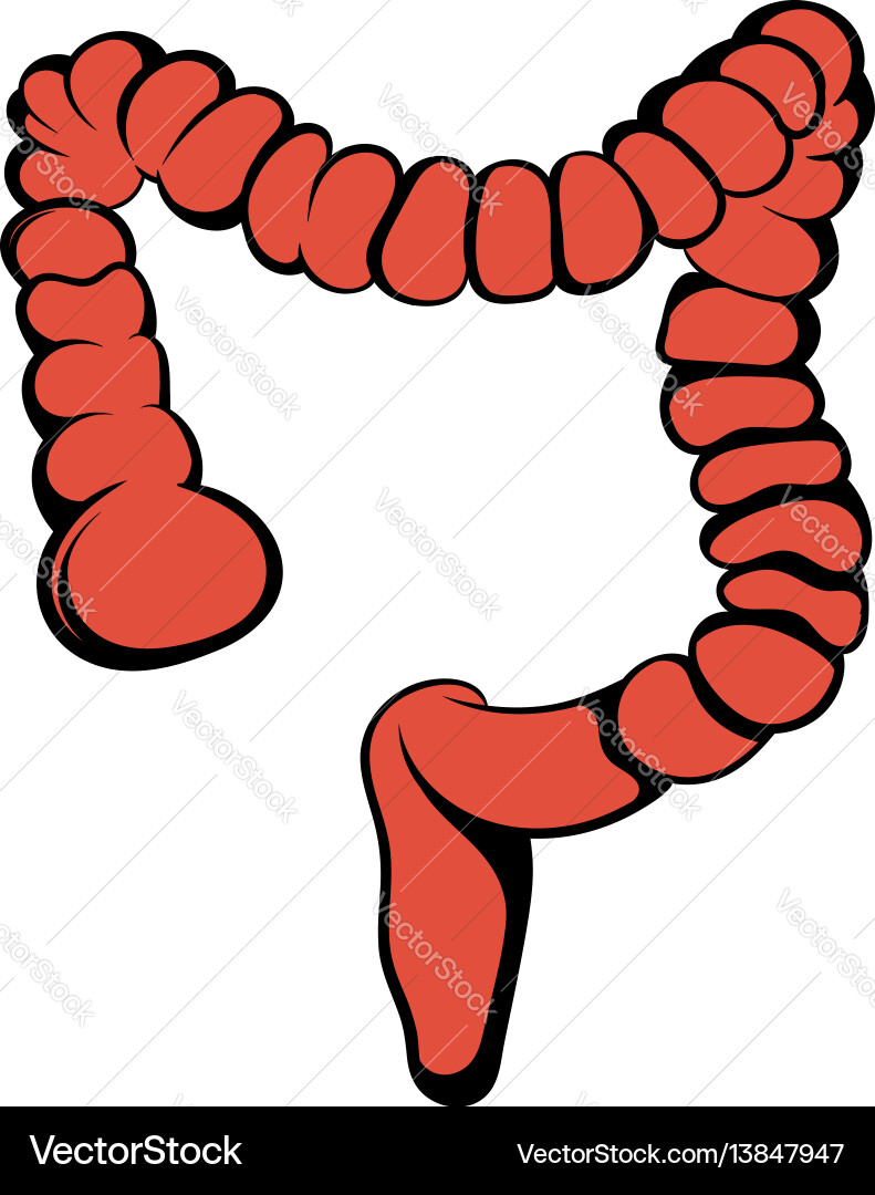 Human colon icon icon cartoon Royalty Free Vector Image