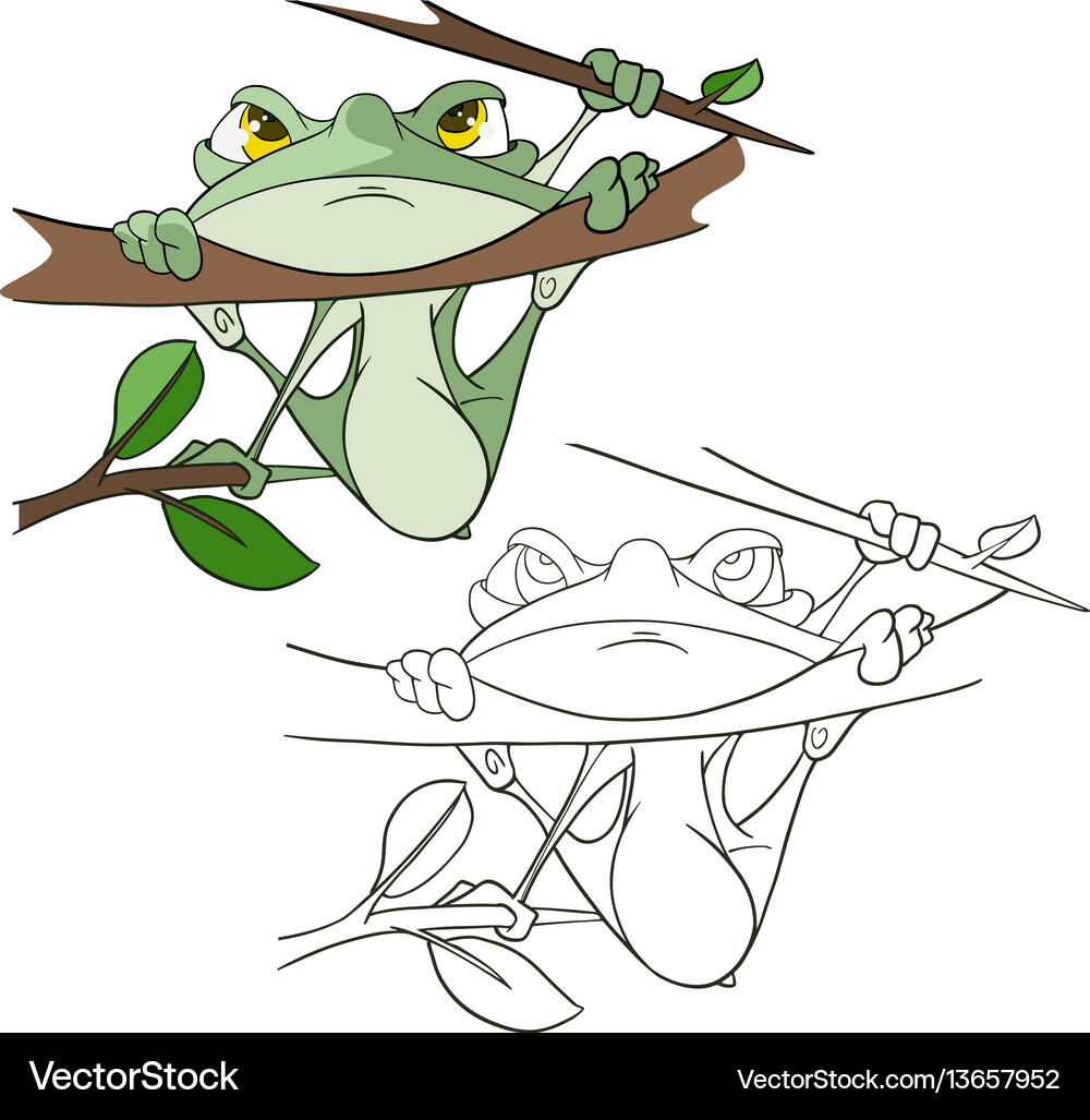 Cute green frog cartoon character Royalty Free Vector Image