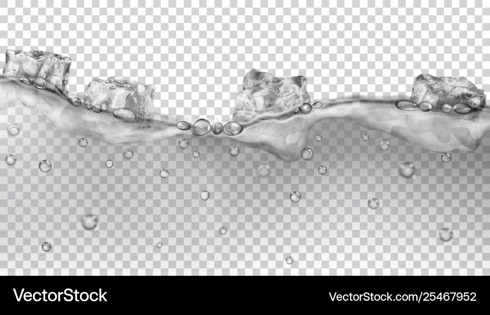 Ice cubes floating in water Royalty Free Vector Image