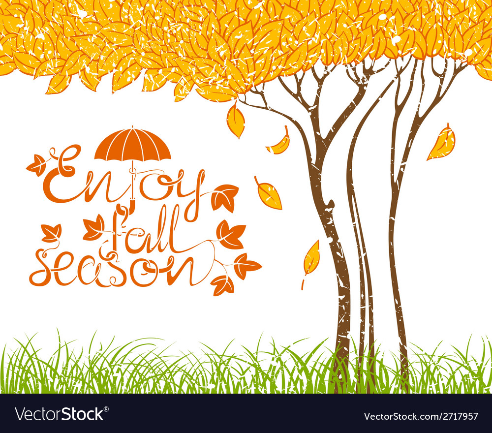 Fall tree Royalty Free Vector Image - VectorStock