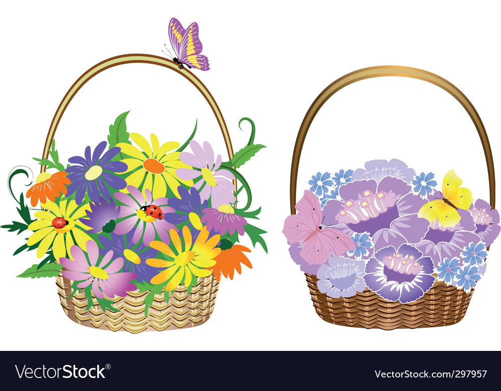 Flower baskets Royalty Free Vector Image - VectorStock