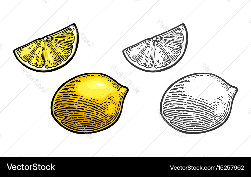 Lemon slice and whole black color Royalty Free Vector Image