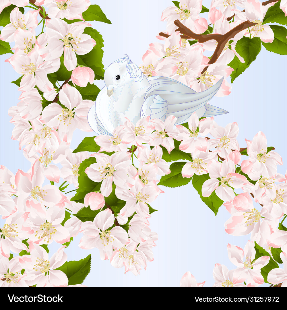 Seamless texture bird white small dove pigeon Vector Image
