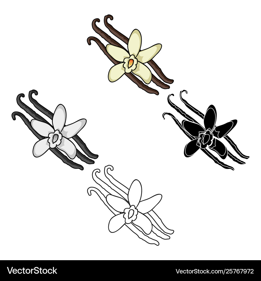 Vanilla icon in cartoonblack style isolated Vector Image
