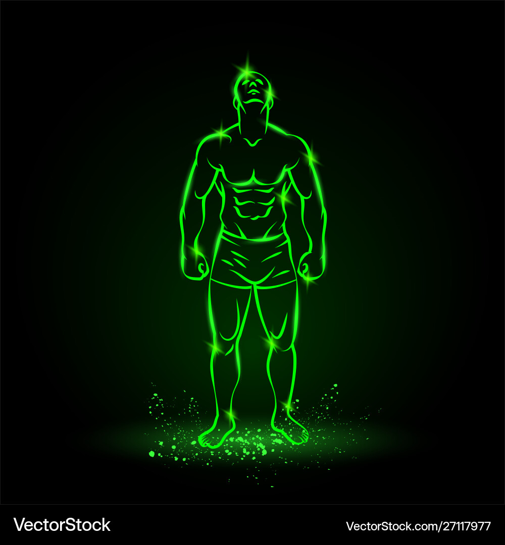 Bodybuilder outline silhouette muscular man Vector Image