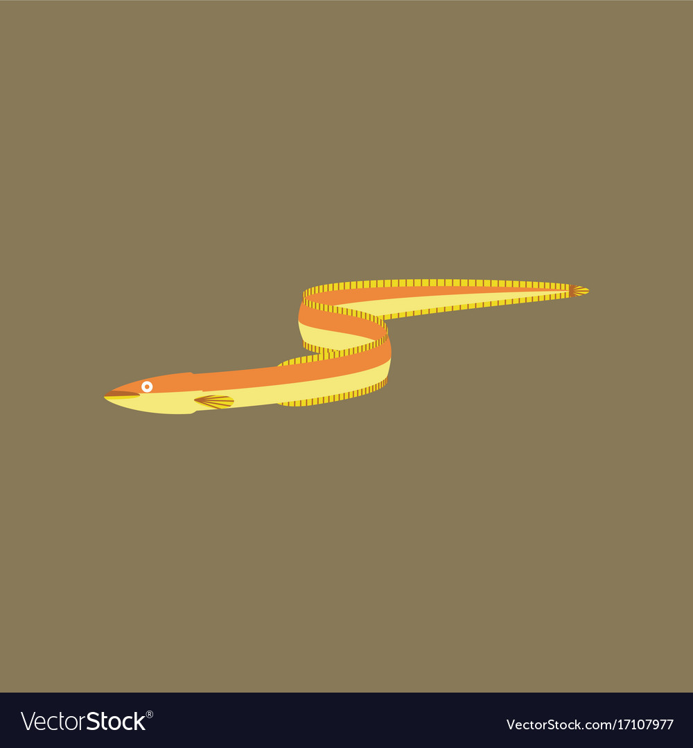 In flat style eel Royalty Free Vector Image - VectorStock